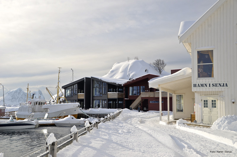 Hamn i Senja Hotel - Inselurlaub unterm Nordlicht buchen