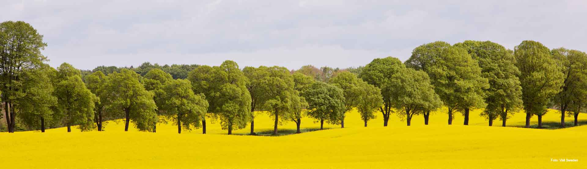 Region Skane in Südschweden